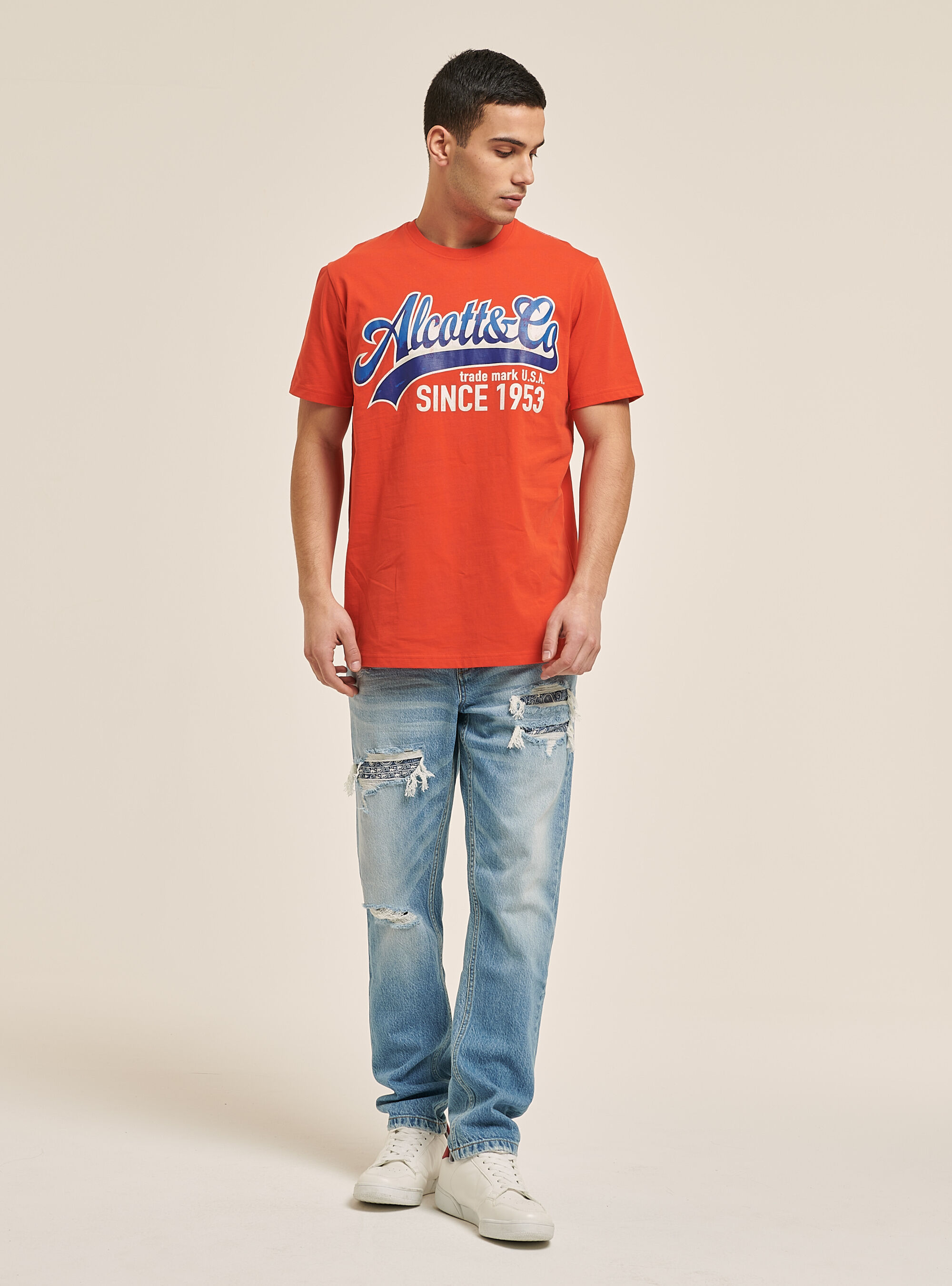 T-shirt e Magliette da Uomo | Acquista online su Alcott