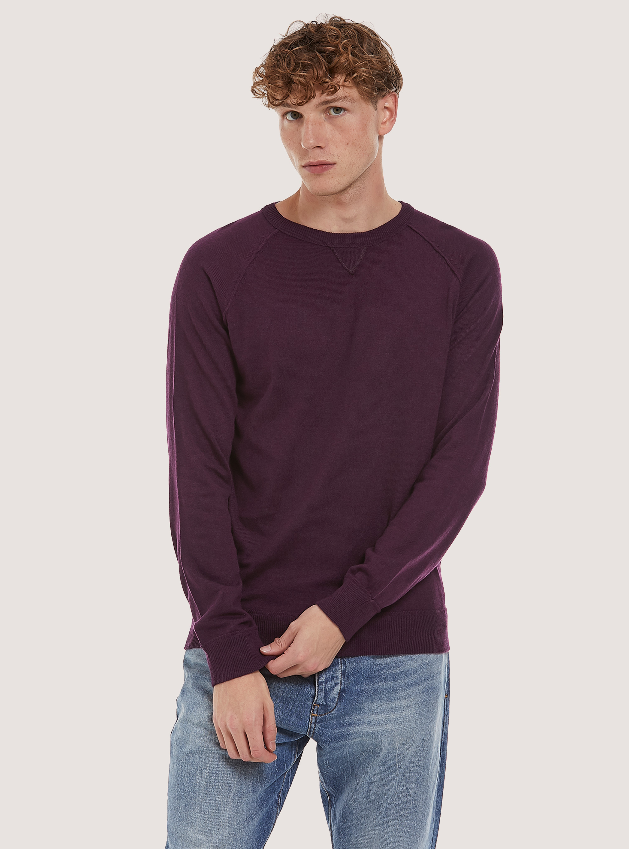 Plain-coloured crew-neck pullover | Alcott | Men's Sweaters